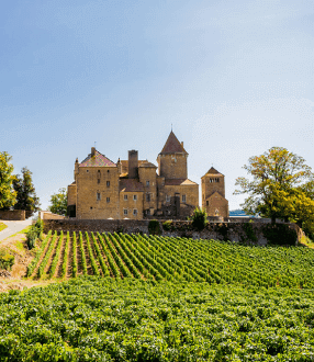 Hotels and restaurants in France and abroad